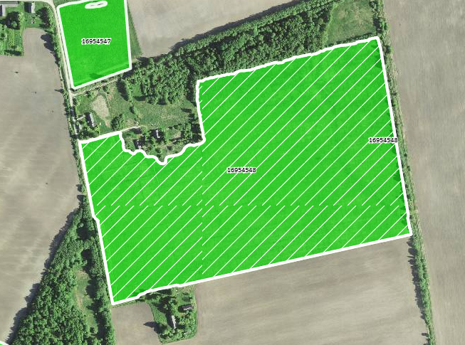 Undesired tile boundaries while displaying MVT layer · Issue #10348 · openlayers/openlayers · GitHub