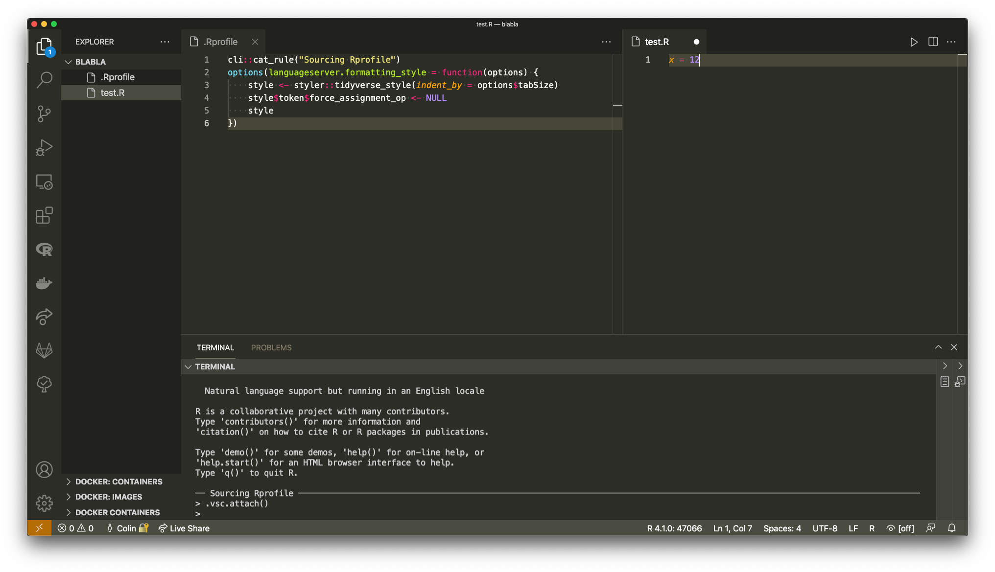 options(languageserver.formatting_style) doesn't work in VSCode · Issue #503 · REditorSupport ...