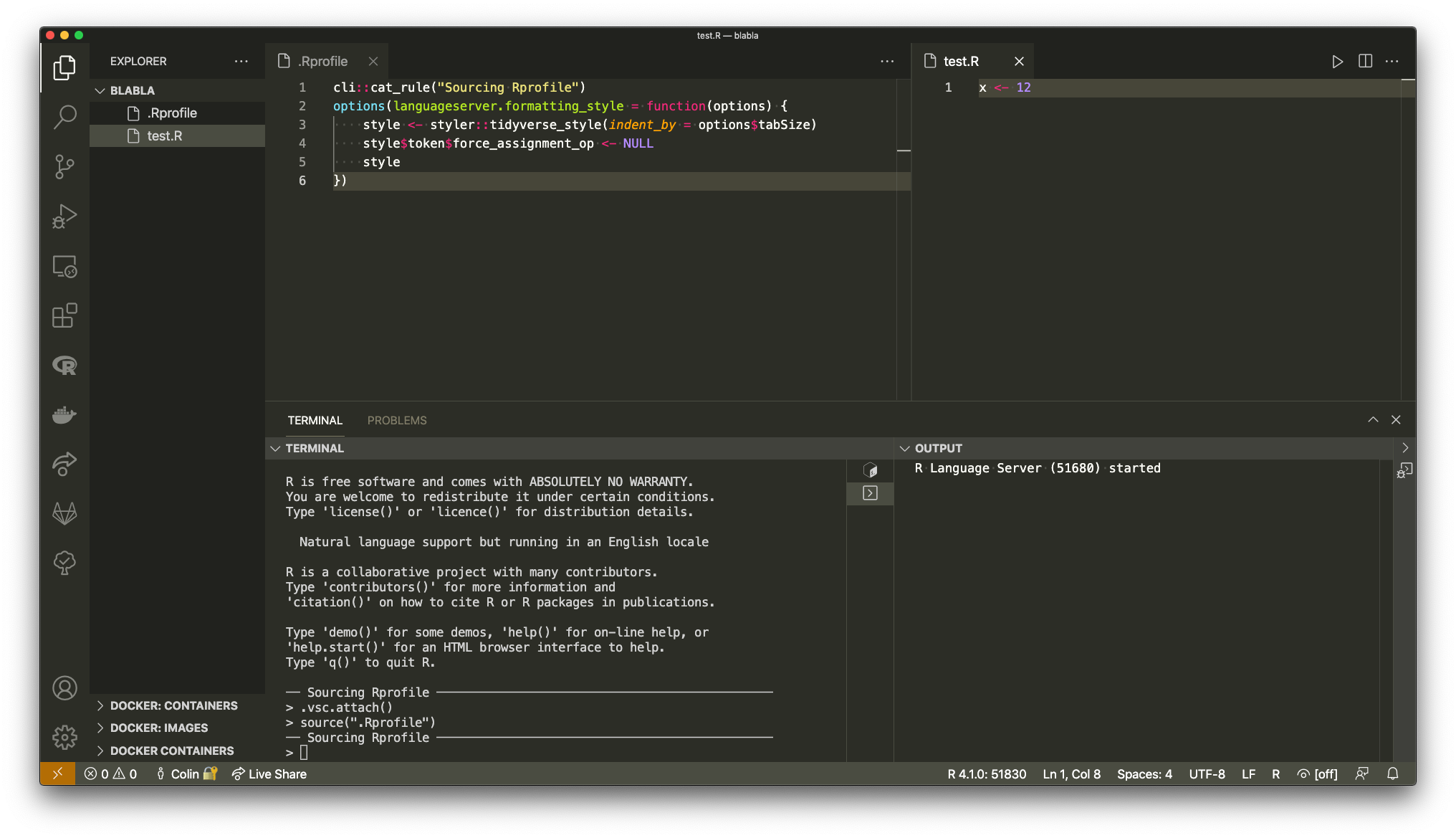 options(languageserver.formatting_style) doesn't work in VSCode · Issue #503 · REditorSupport ...
