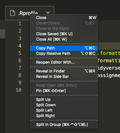 options(languageserver.formatting_style) doesn't work in VSCode · Issue #503 · REditorSupport ...