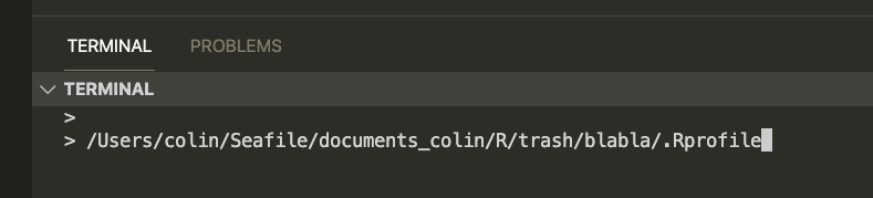 options(languageserver.formatting_style) doesn't work in VSCode · Issue #503 · REditorSupport ...