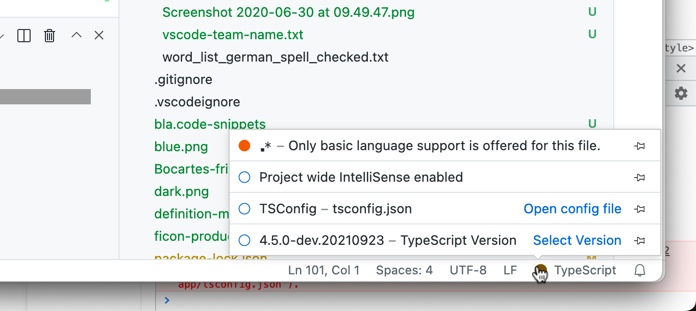 Consolidate typescript language info into one item · Issue #133731 · microsoft/vscode · GitHub