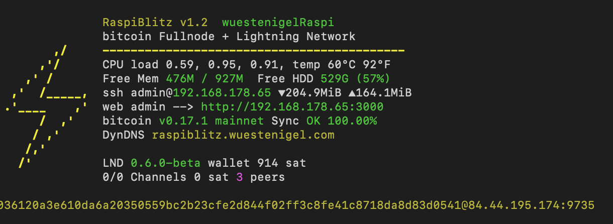 DynamicDNS vs. 1ML · Issue #644 · raspiblitz/raspiblitz · GitHub