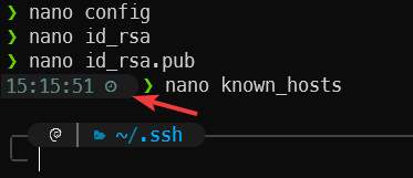 Feature Request - cmd execution timestamp when `transient:true` · Issue #1277 · romkatv ...