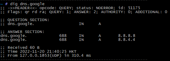 nftset功能出现奇怪的地址段。 · Issue #1174 · pymumu/smartdns · GitHub