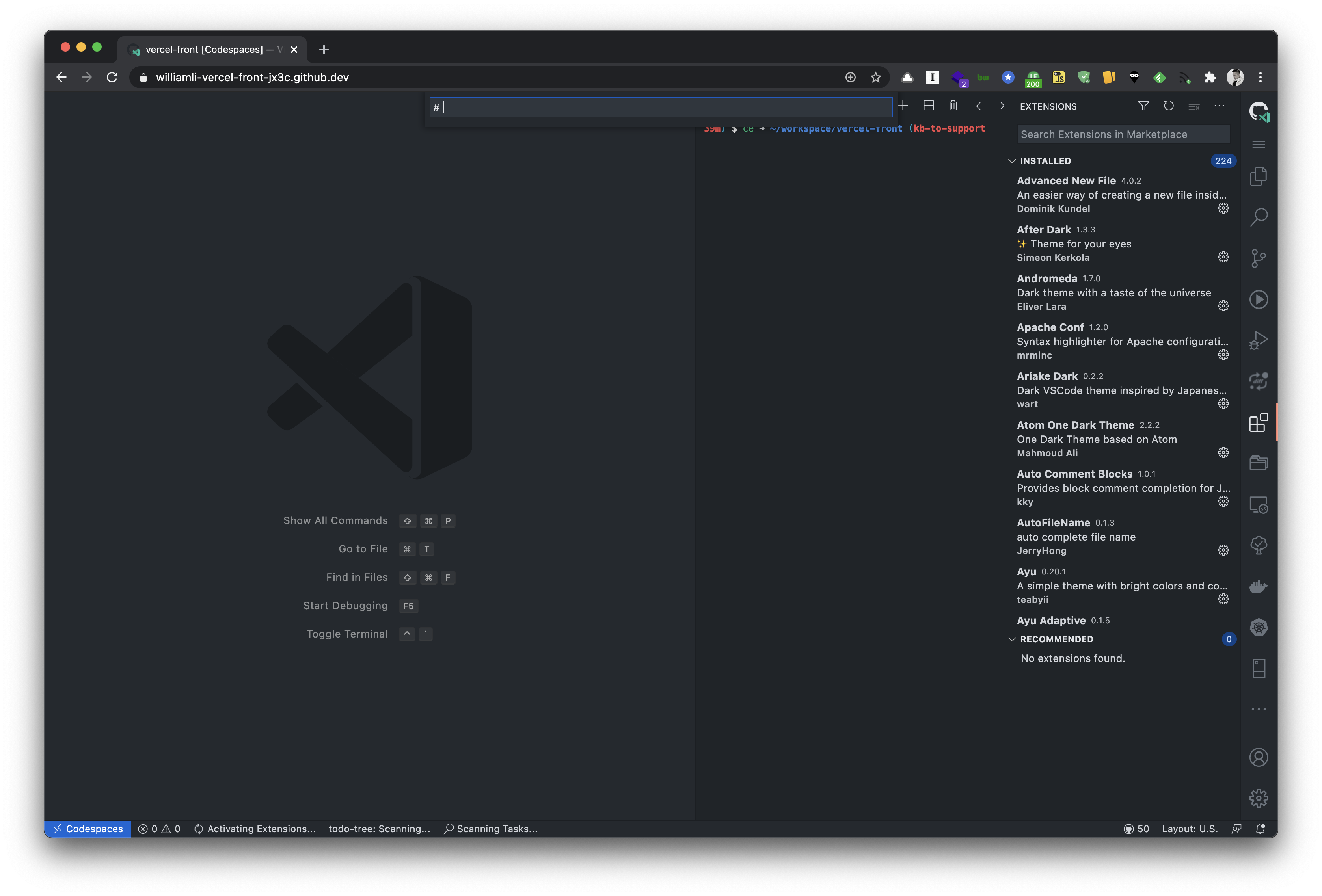adgard-on-big-sur-safari-caused-load-issues-with-github-codespaces