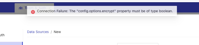 🐛 Bug: [MSSQL] Any additional parameter passed to connection string e.g. "Encrypt" parameter is ...