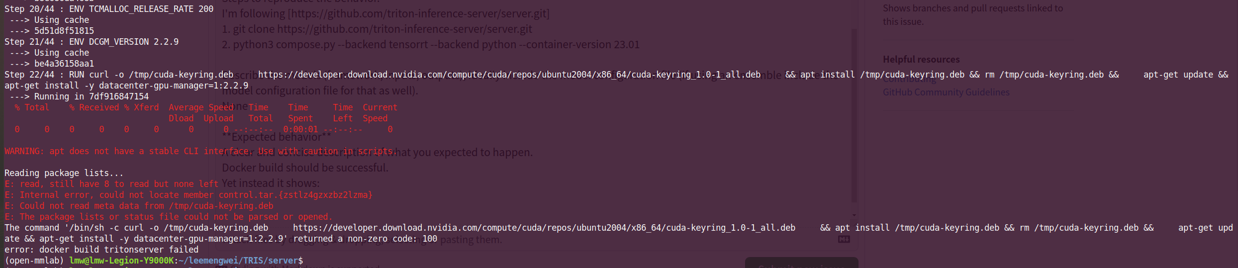 Customize Triton Container Using Compose Py Failed · Issue 5364 · Triton Inference Server