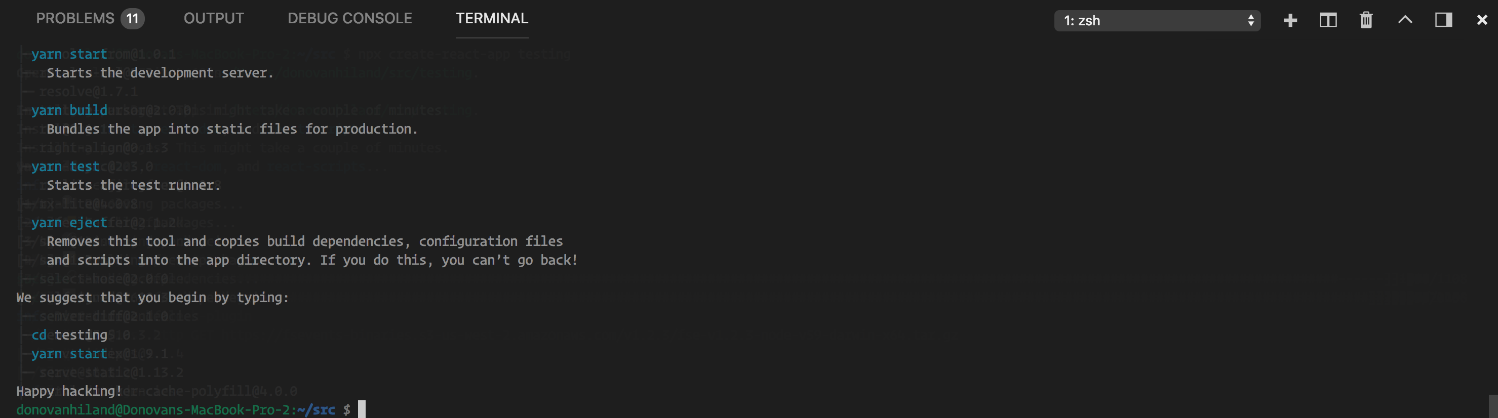 Issues With Integrated Terminal Aliasingghosting · Issue 49491 · Microsoftvscode · Github