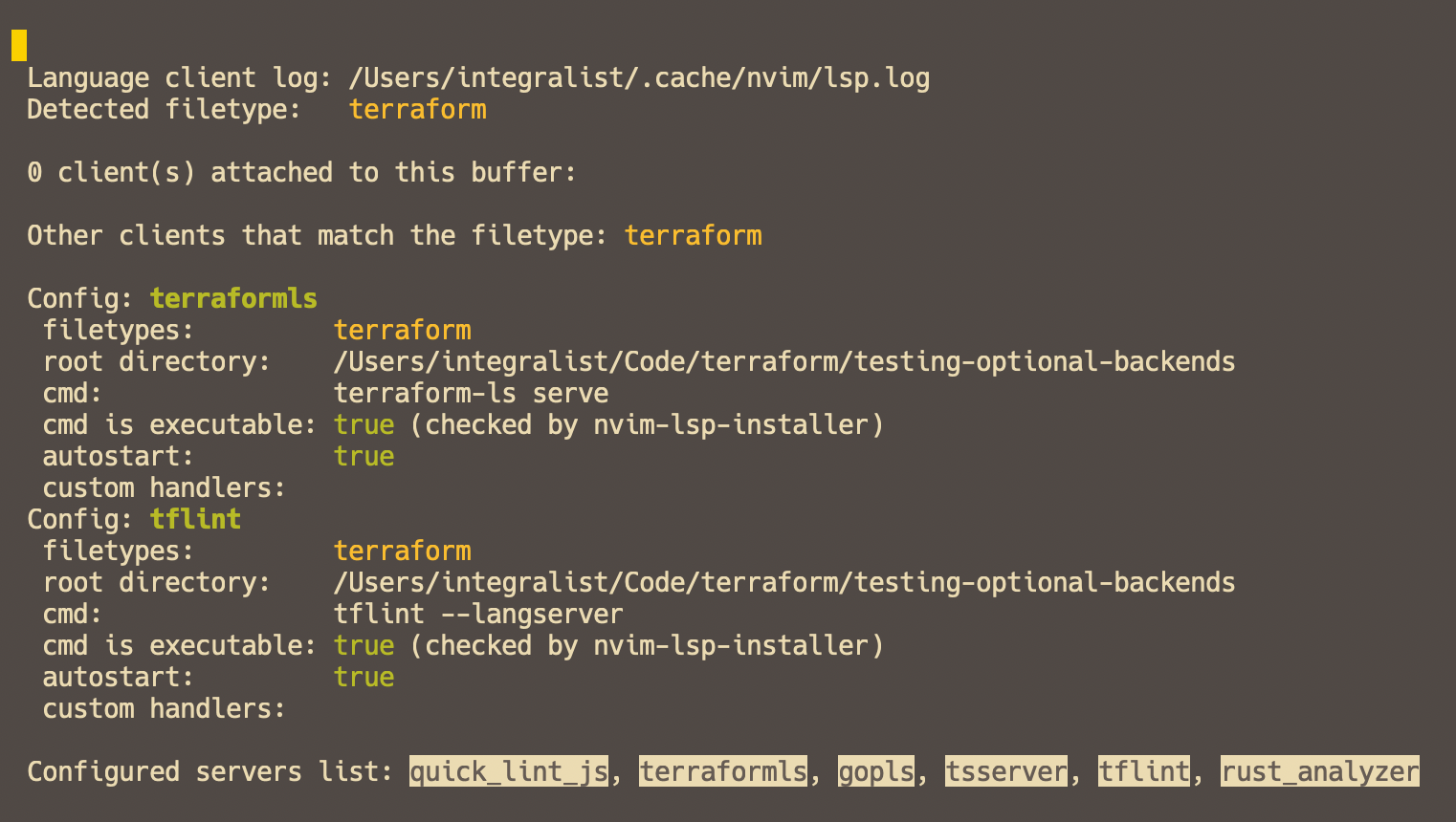 Spawning Language Server With Cmd `a Language Server` Failed The Language Server Is Either Not