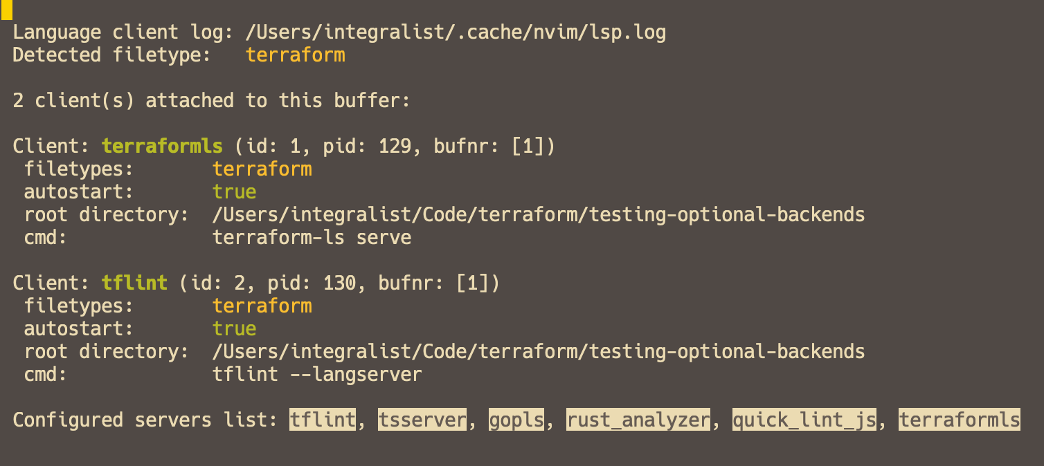 Spawning language server with cmd: `a-language-server` failed. The language server is either not ...