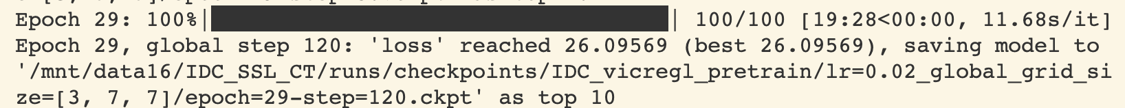 ModelCheckpoint, monitoring training loss shows incorrect loss · Issue #62 · project-lighter ...