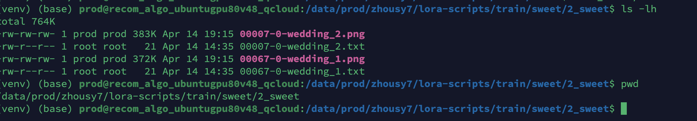 No data found. Please verify arguments · Issue #78 · kohya-ss/sd-scripts · GitHub