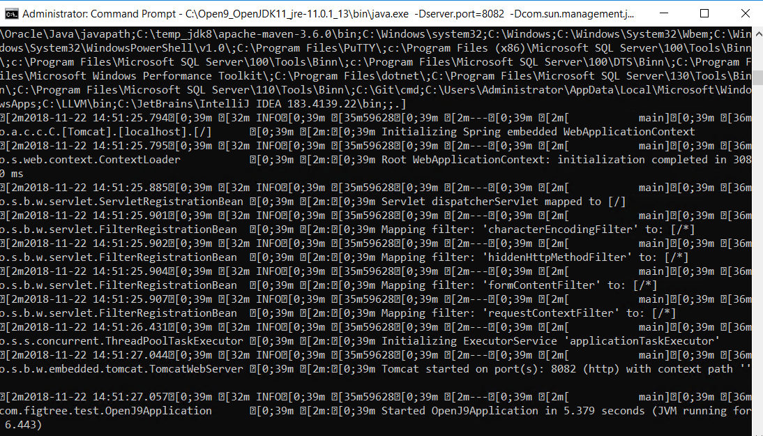 OpenJ9 Java 11 on Windows 10 won't start crashes with segmentation error · Issue #3747 · eclipse ...