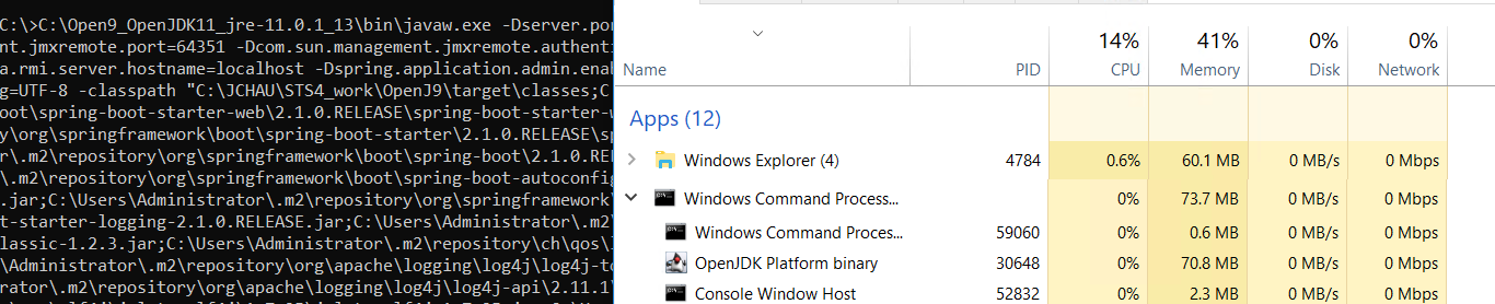 OpenJ9 Java 11 on Windows 10 won't start crashes with segmentation error · Issue #3747 · eclipse ...