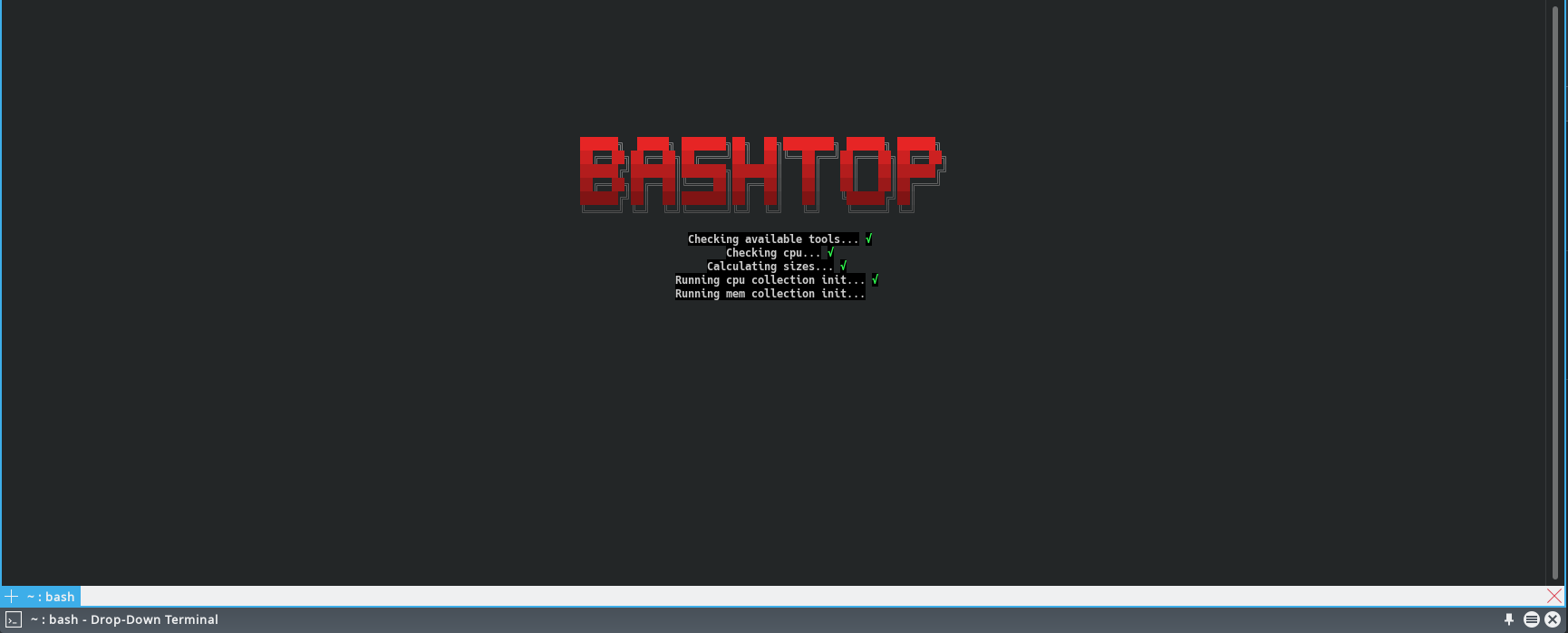 [BUG] Bashtop gets stuck at the initialization · Issue #154 · aristocratos/bashtop · GitHub