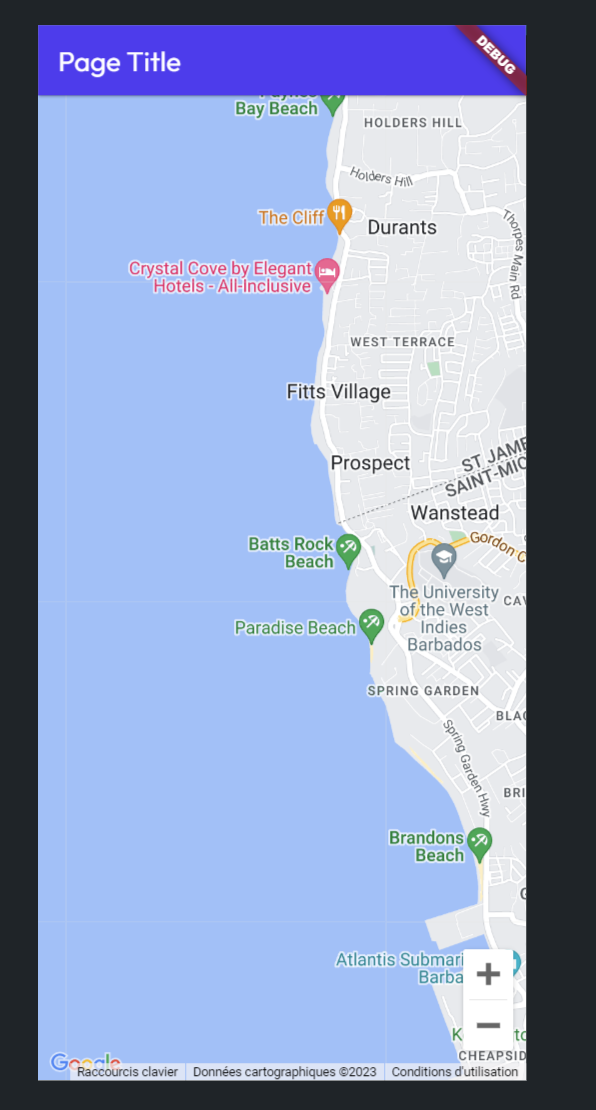 Cannot disallow interaction with GoogleMap on web platform · Issue #1130 · FlutterFlow ...