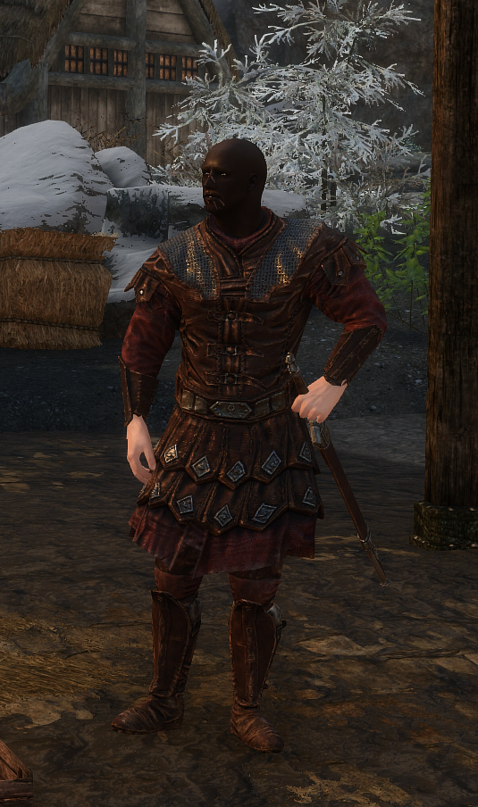 Hadvar BFB · Issue #252 · ForgottenGlory/Living-Skyrim-2 · GitHub