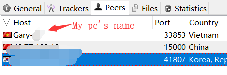 Issue when resolving peer's hostname · Issue #1338 · transmission-remote-gui/transgui · GitHub
