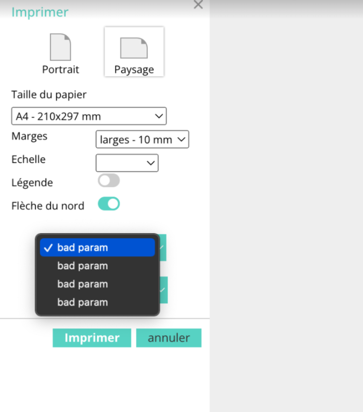 Print Panel Control Options Format Parameters · Issue 981 · Viglino Ol Ext · Github