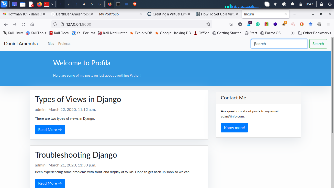GitHub - DarthDanAmesh/blog-portfolio