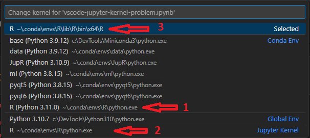 Unable to detect nor run R kernels · Issue #11519 · microsoft/vscode-jupyter · GitHub