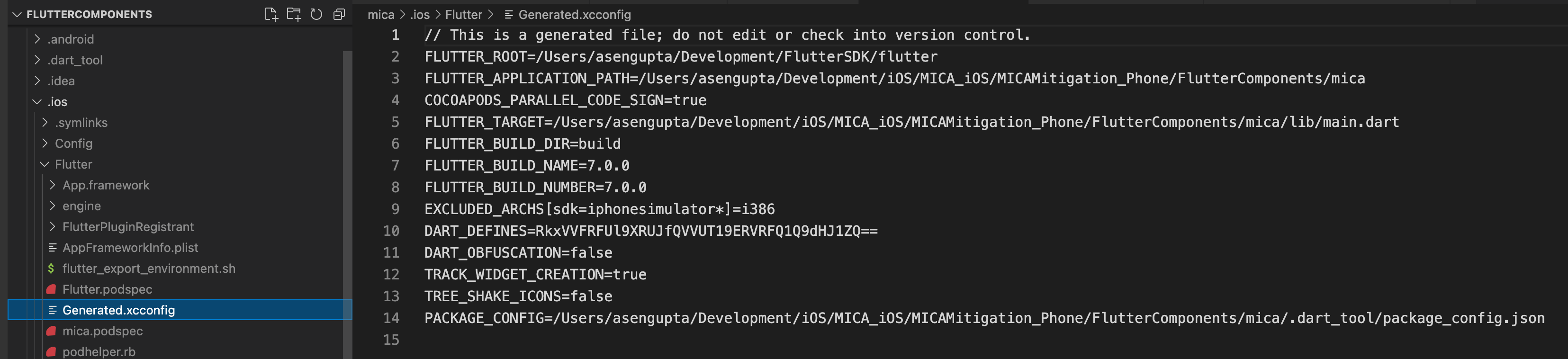Failed to find assets path for "Frameworks/App.framework/flutter_assets" from flutter module ...