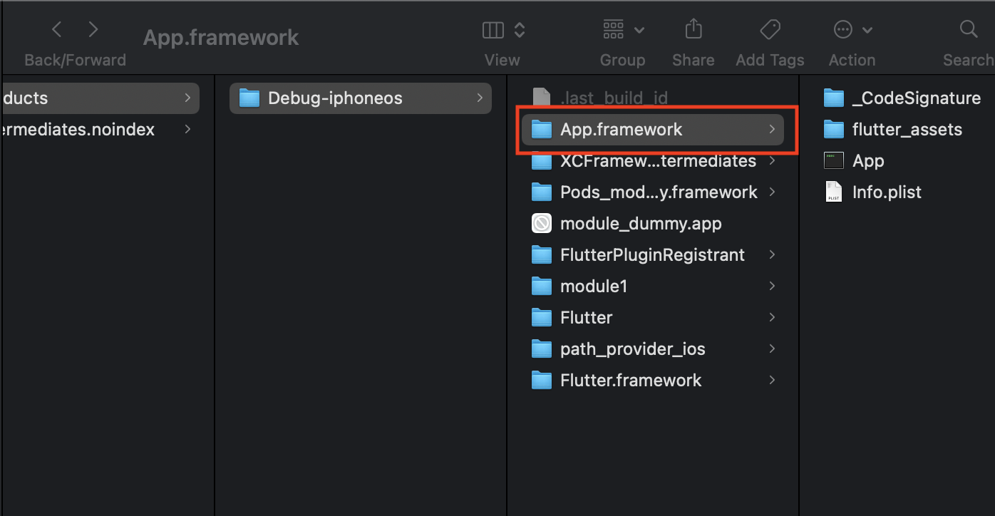 Failed to find assets path for "Frameworks/App.framework/flutter_assets" from flutter module ...