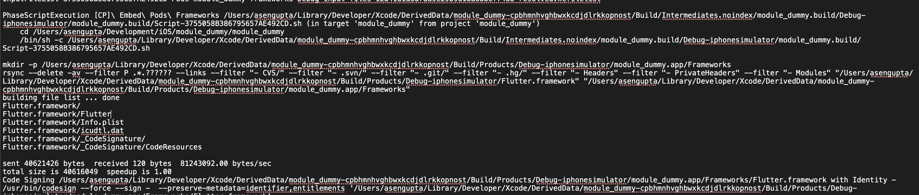 Failed to find assets path for "Frameworks/App.framework/flutter_assets" from flutter module ...