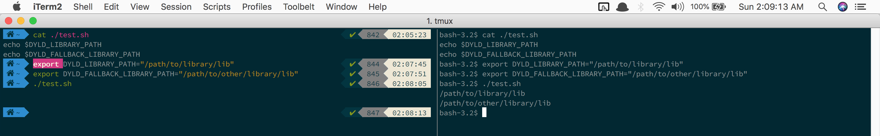 Environment variable `DYLD_FALLBACK_LIBRARY_PATH` removed from instance of kernel · Issue #4918 ...