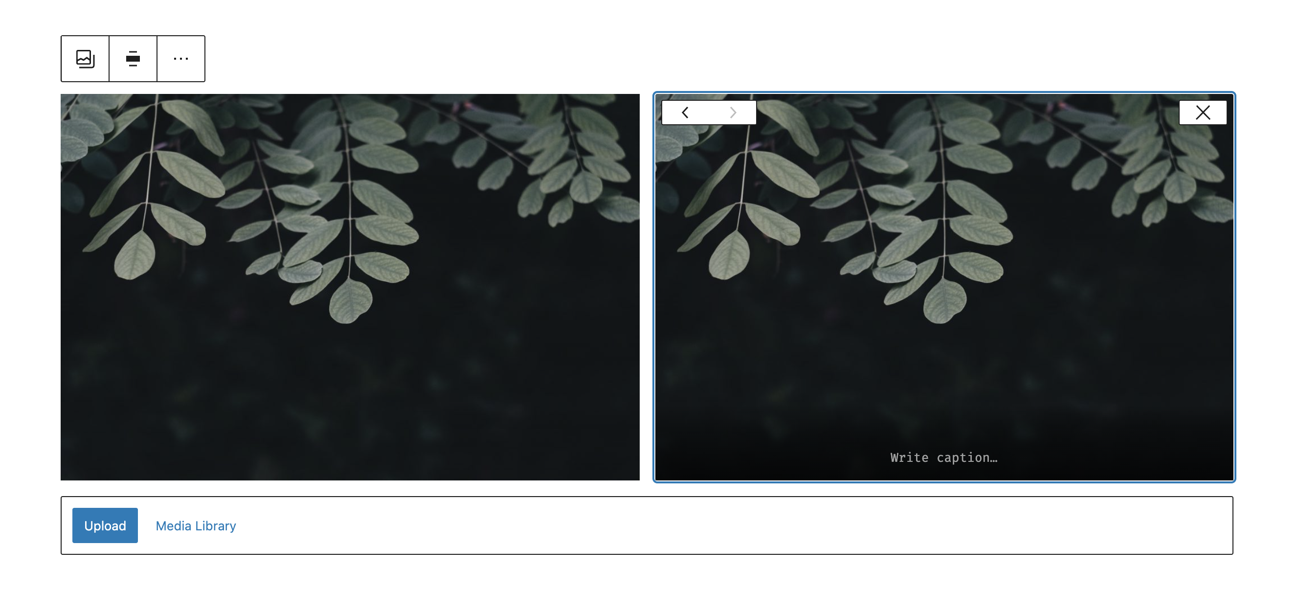 Add method to remove image/revert to placeholder state · Issue #23125 ...