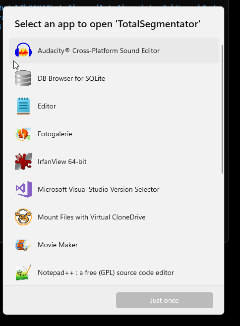 TotalSegmentator in Windows 11 · Issue #10 · wasserth/TotalSegmentator · GitHub