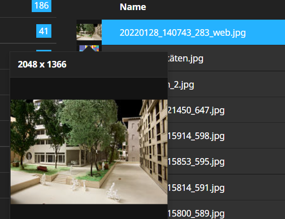 Bug Enlarging Thumbnails In Media Browser Doesnt Work Anymore · Issue 3886 · Neosneos 
