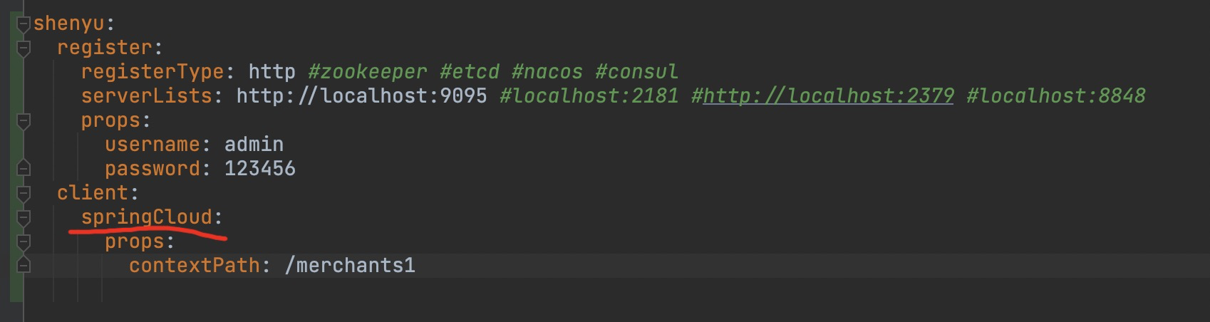 [BUG] 官网文档Spring Cloud服务接入描述有误 · Issue #3865 · apache/shenyu · GitHub