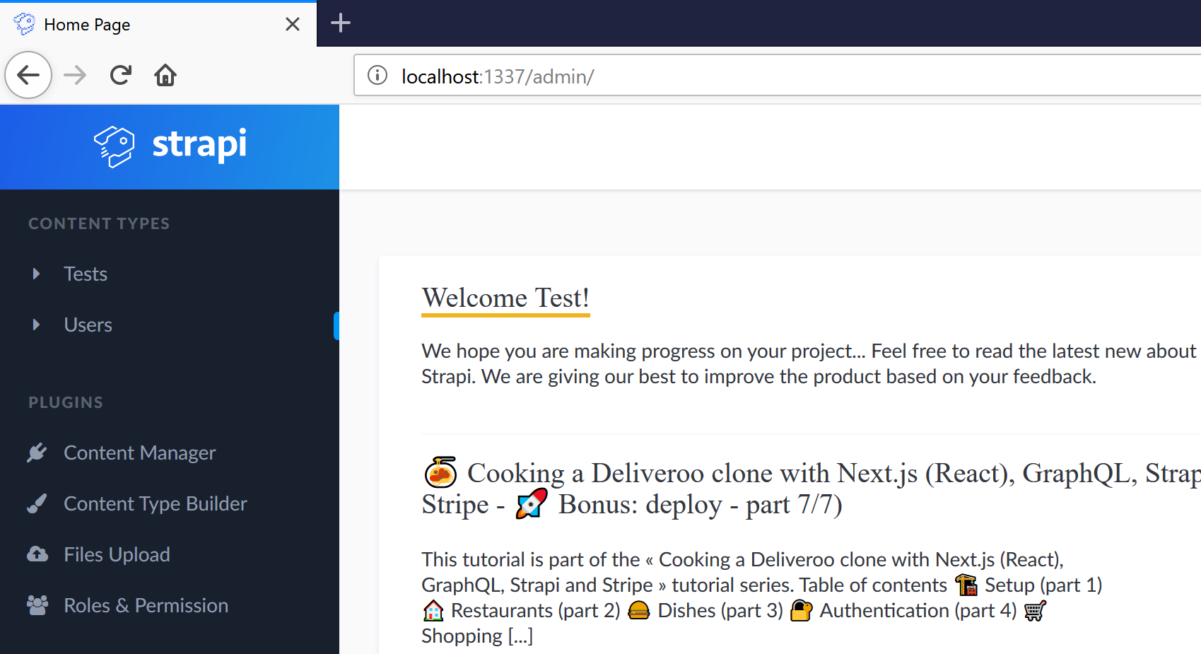 Strapi Dashboard only show Content Types after a fresh login. Once browser refreshes only Users ...