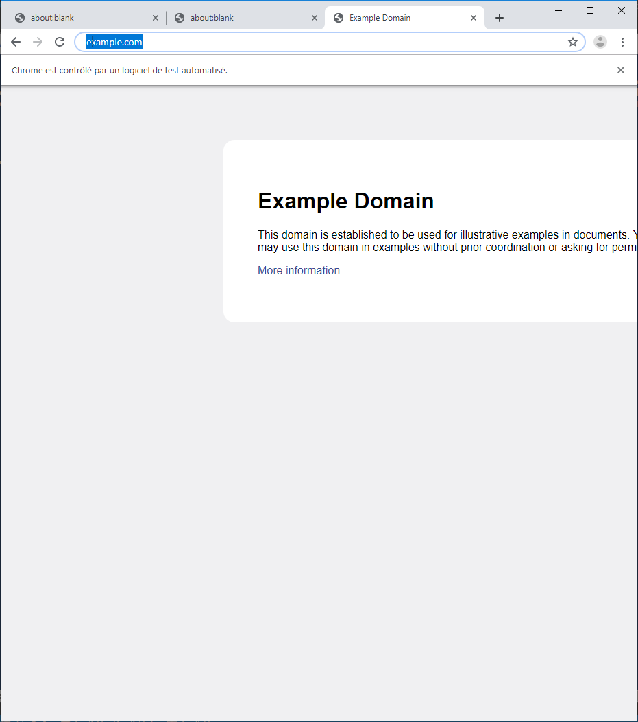At startup chrome open 2 about:blank tabs · Issue #161 · GoogleChrome/chrome-launcher · GitHub
