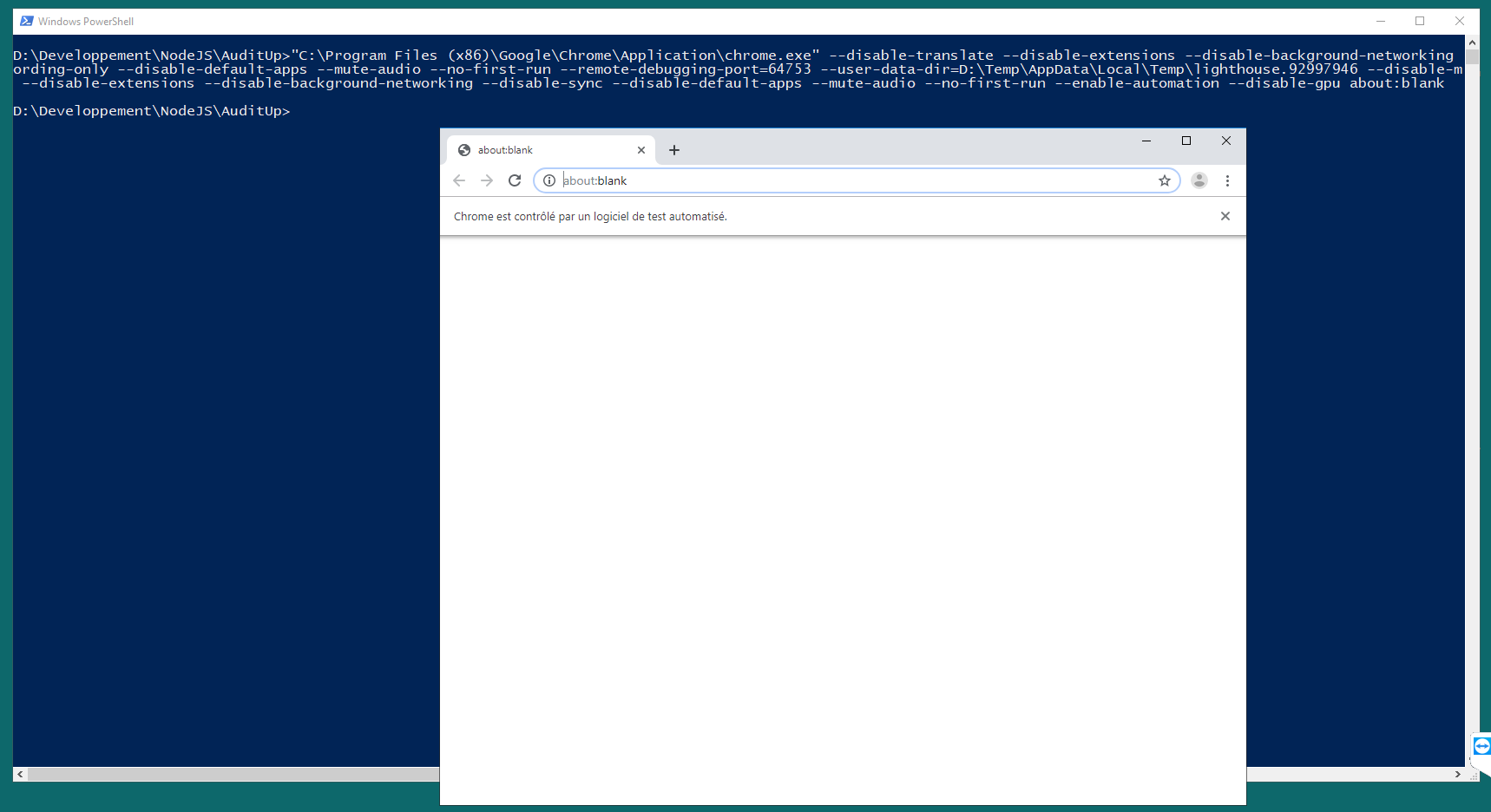 At startup chrome open 2 about:blank tabs · Issue #161 · GoogleChrome/chrome-launcher · GitHub