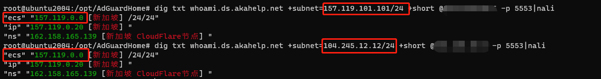 Split cache based on ECS · Issue #5757 · AdguardTeam/AdGuardHome · GitHub