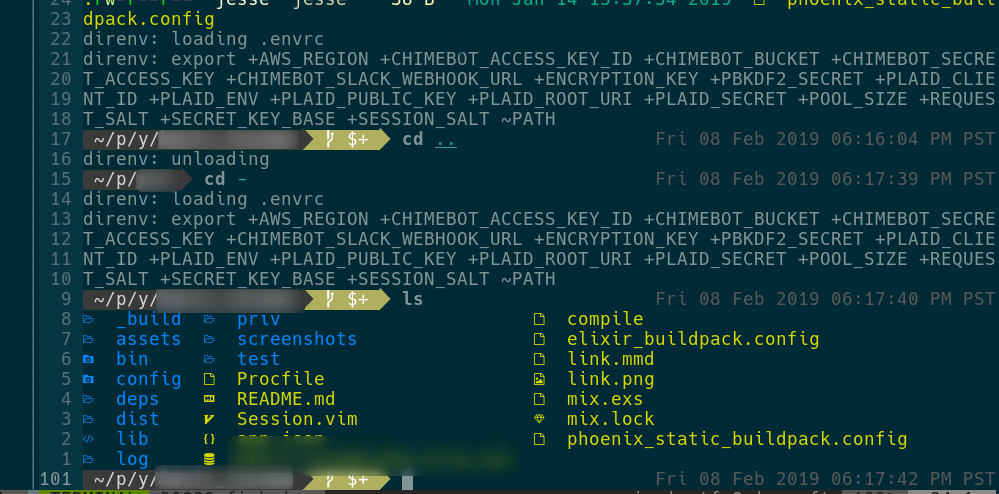 Export/loading output displayed with any command · Issue #458 · direnv/direnv · GitHub