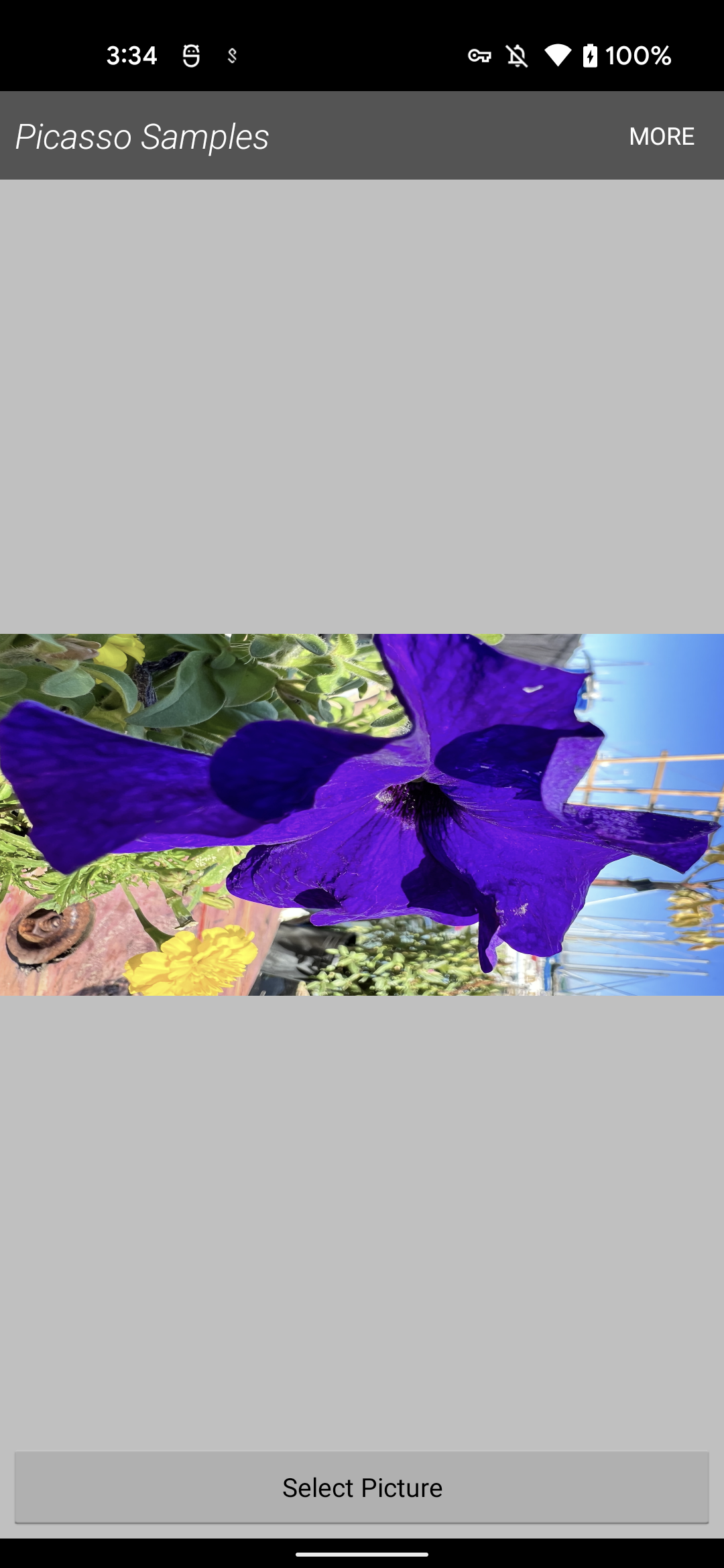 Images loaded from the file system render with the wrong orientation · Issue #2275 · square ...