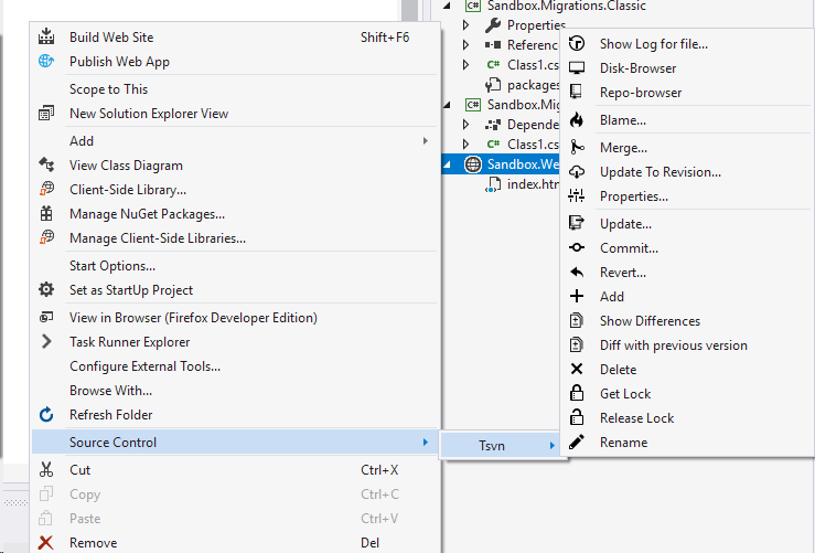 Context Menu Does Not Appear on "Web Site" Project · Issue #47 · sboulema/TSVN · GitHub