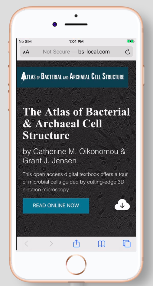 Offline/PWA Features · Issue #3 · caltechlibrary/cell-atlas · GitHub