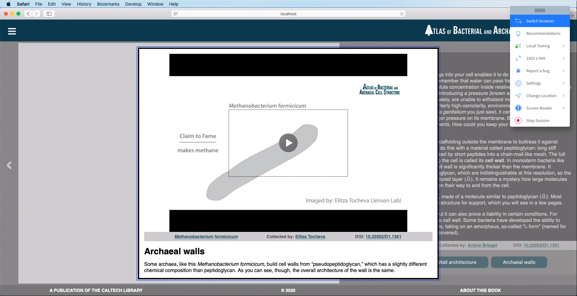 Offline/PWA Features · Issue #3 · caltechlibrary/cell-atlas · GitHub
