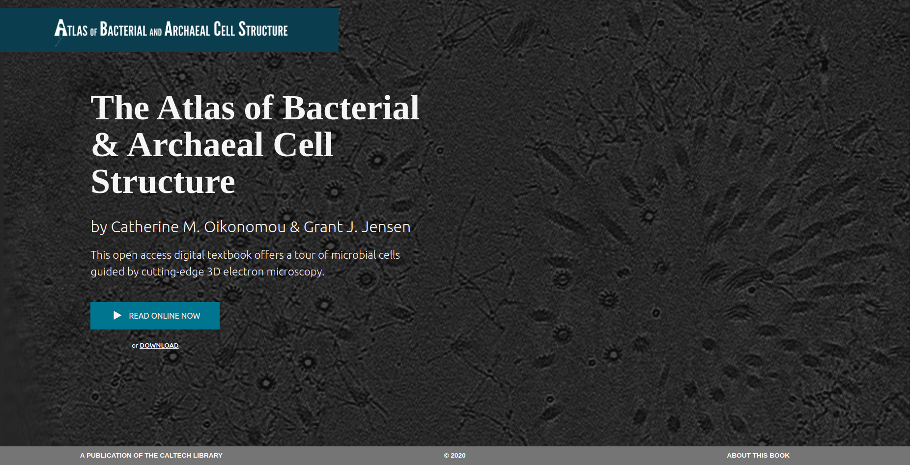 Offline/PWA Features · Issue #3 · caltechlibrary/cell-atlas · GitHub