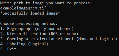 GitHub - rafalsz98/ImageProcessing