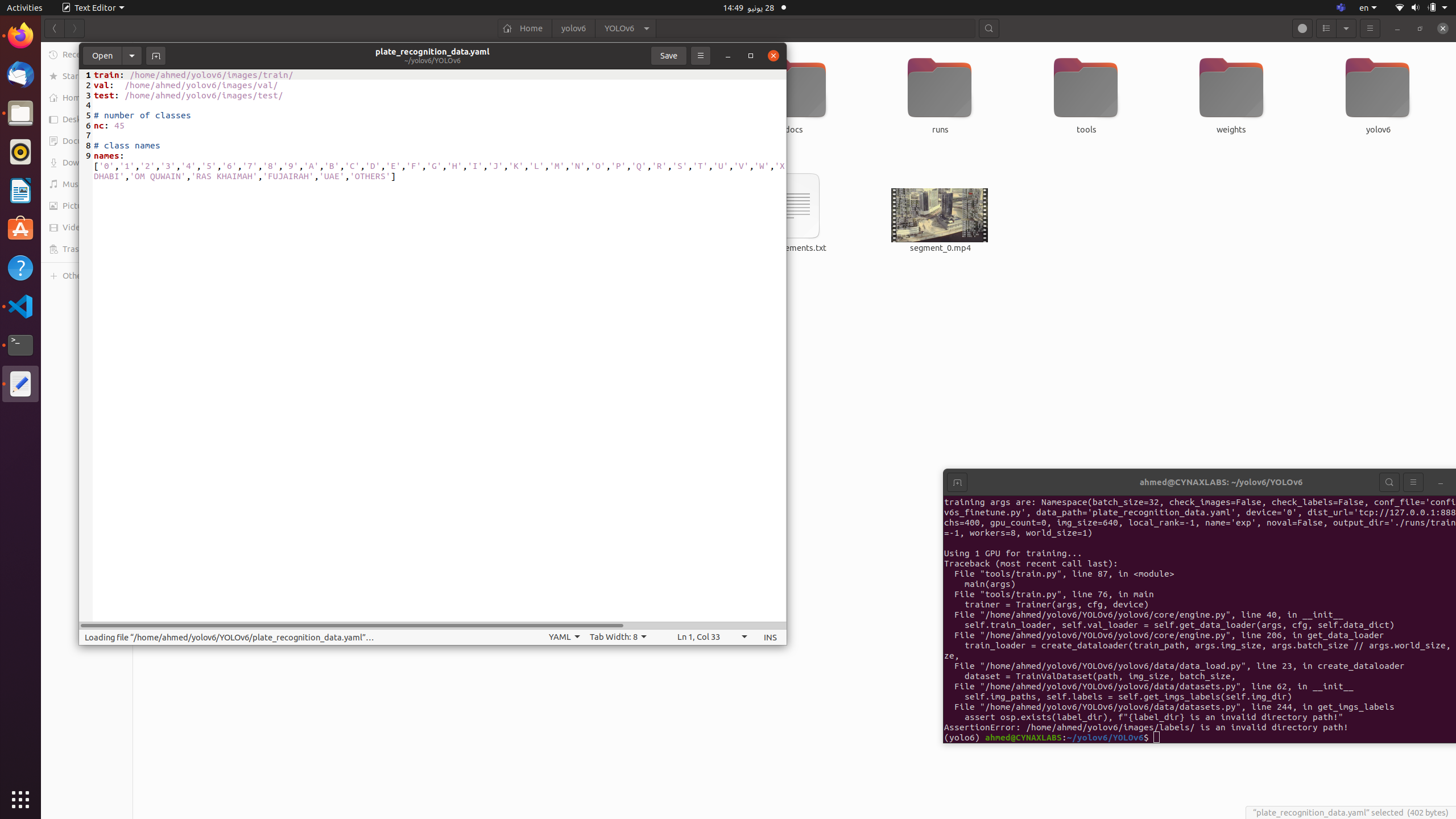 Training Custom Data · Issue #111 · meituan/YOLOv6 · GitHub