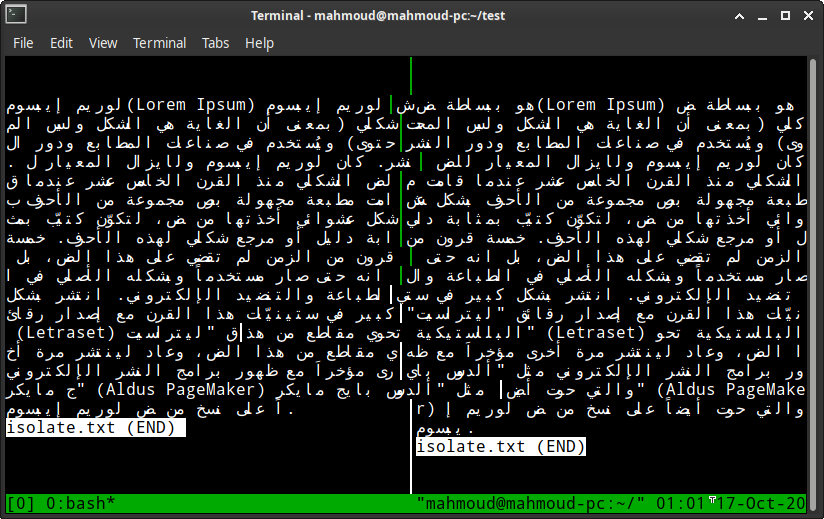 Horizontal panes leakage with bidirectional text · Issue #2425 · tmux/tmux · GitHub