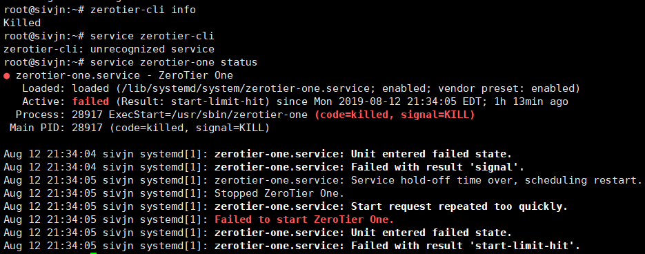 zerotier 1.4.2 not runing in openvz · Issue #1006 · zerotier/ZeroTierOne · GitHub