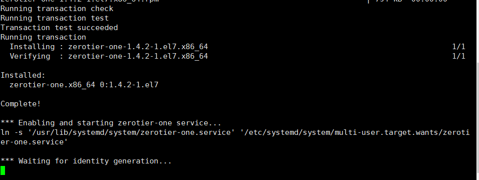 zerotier 1.4.2 not runing in openvz · Issue #1006 · zerotier/ZeroTierOne · GitHub