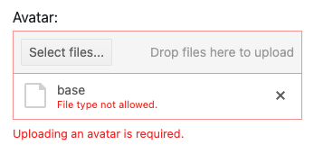 Wrong border color around invalid files · Issue #2253 · telerik/kendo-themes · GitHub